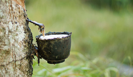 SPECIALITY FORMS & TECHNICAL SPECIFIED RUBBER